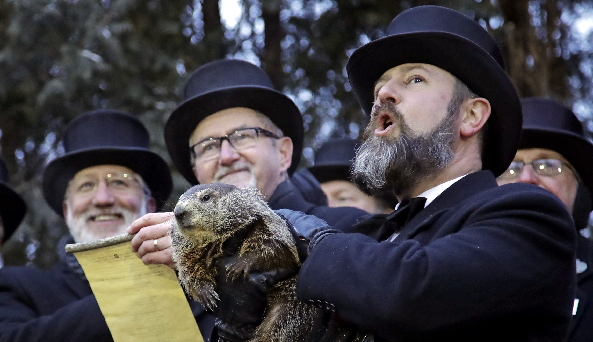 Spring is coming: US groundhogs prognosticate during polar vortex ...