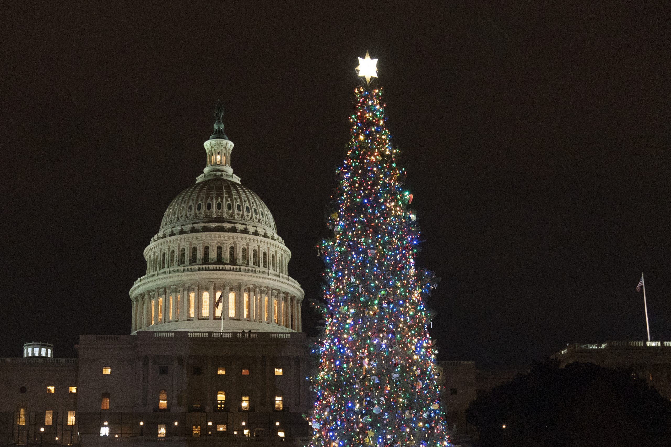 Capitol Christmas tree makes journey to Washington - Washington Examiner
