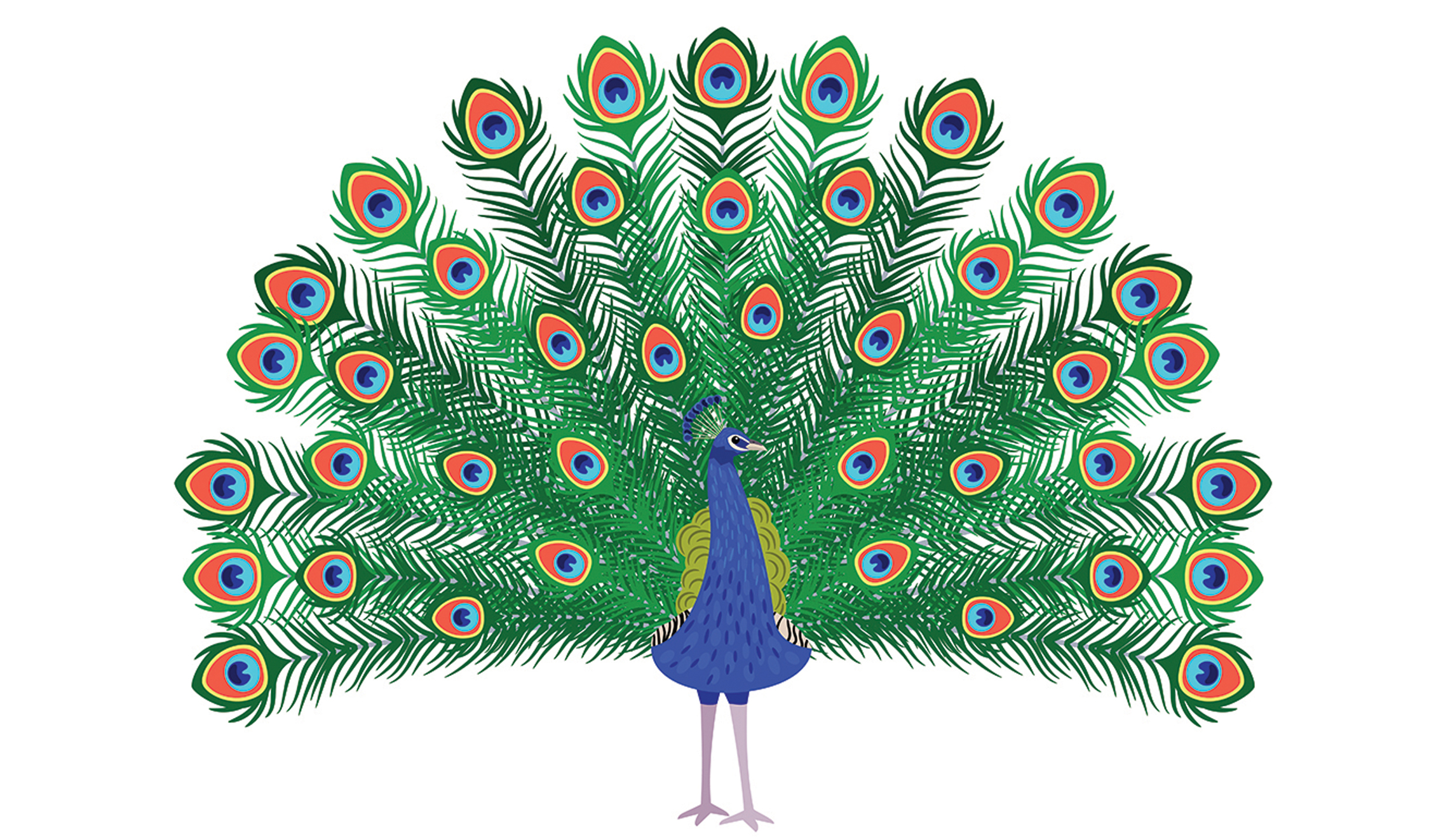 When Peacocks Attack … - Washington Examiner