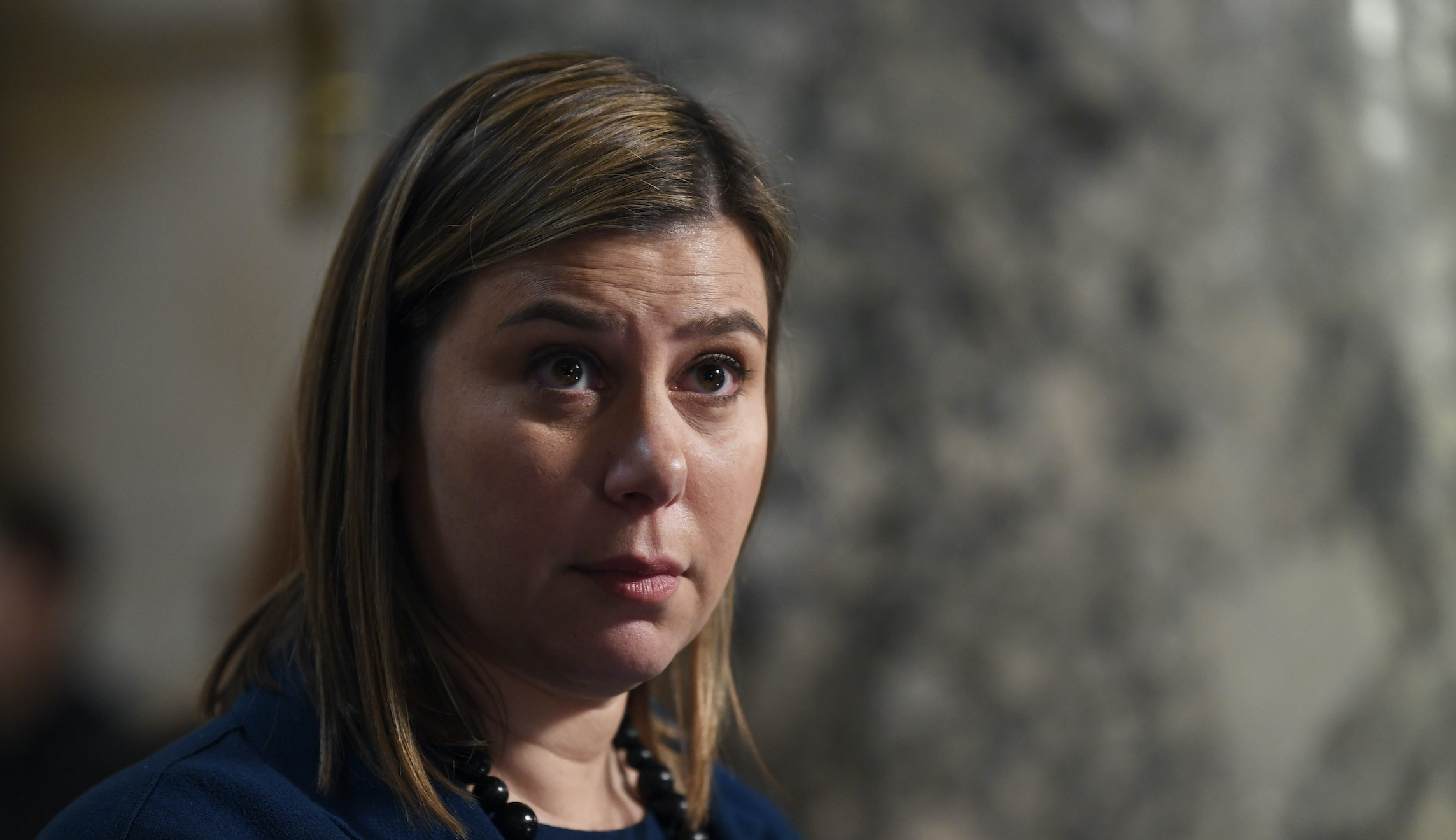 Elissa Slotkin seeks reelection in Michigan district while Biden tries ...