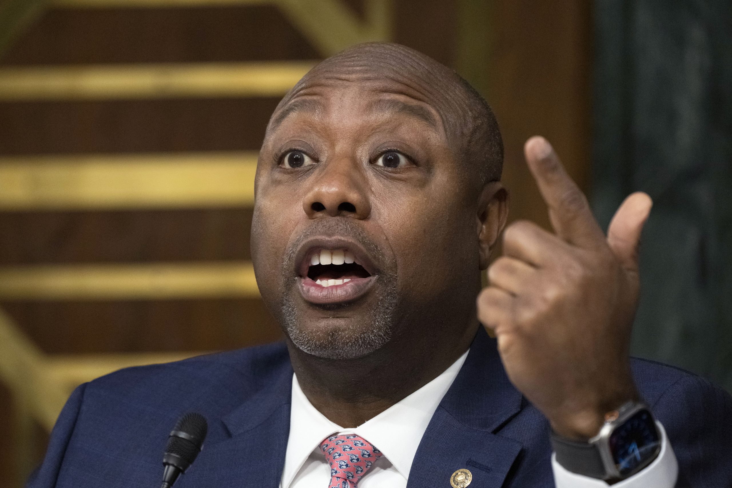 Tim Scott to launch 2024 exploratory committee, taking another step ...