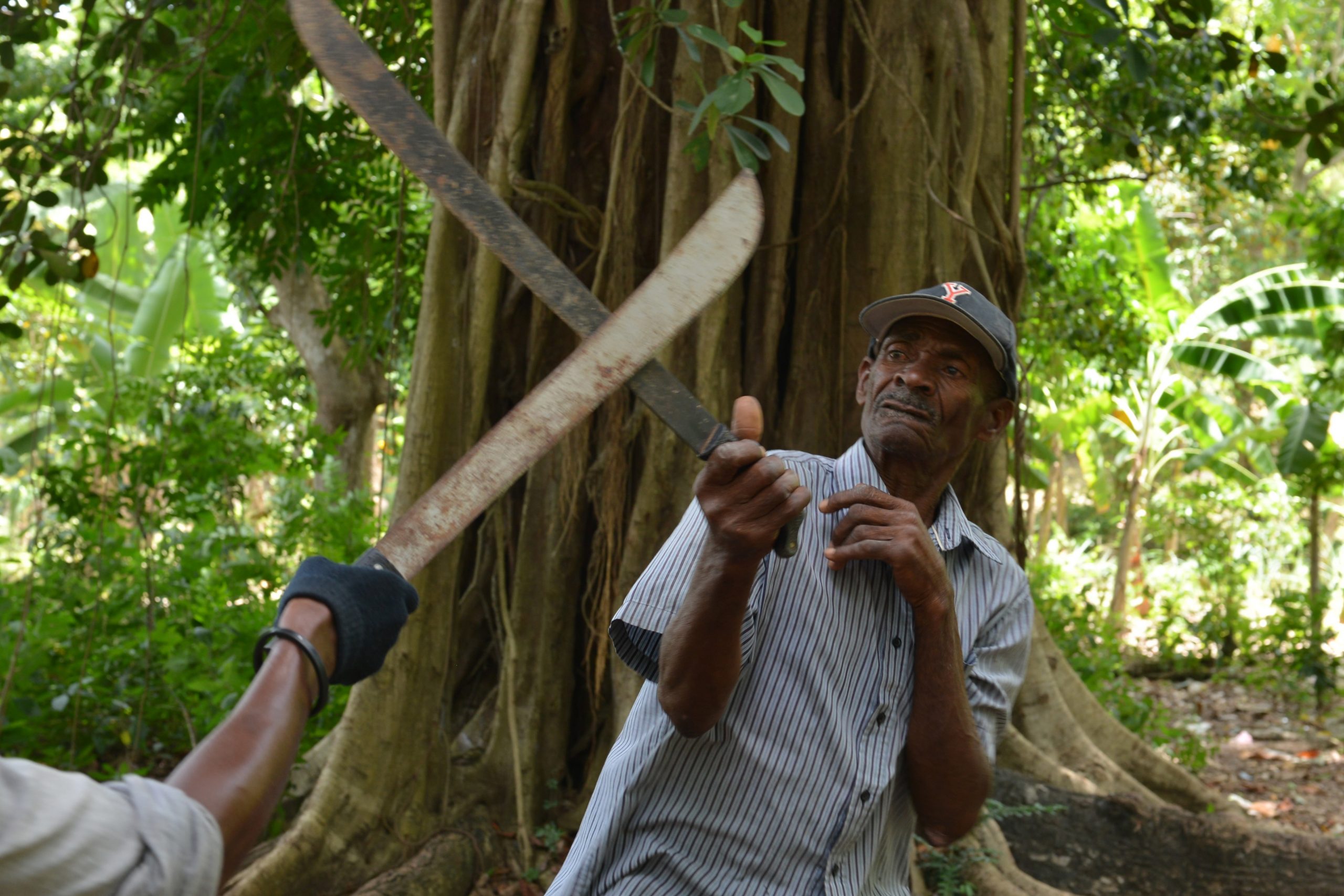 Grace, danger blend in Haiti’s machete fighting - Washington Examiner