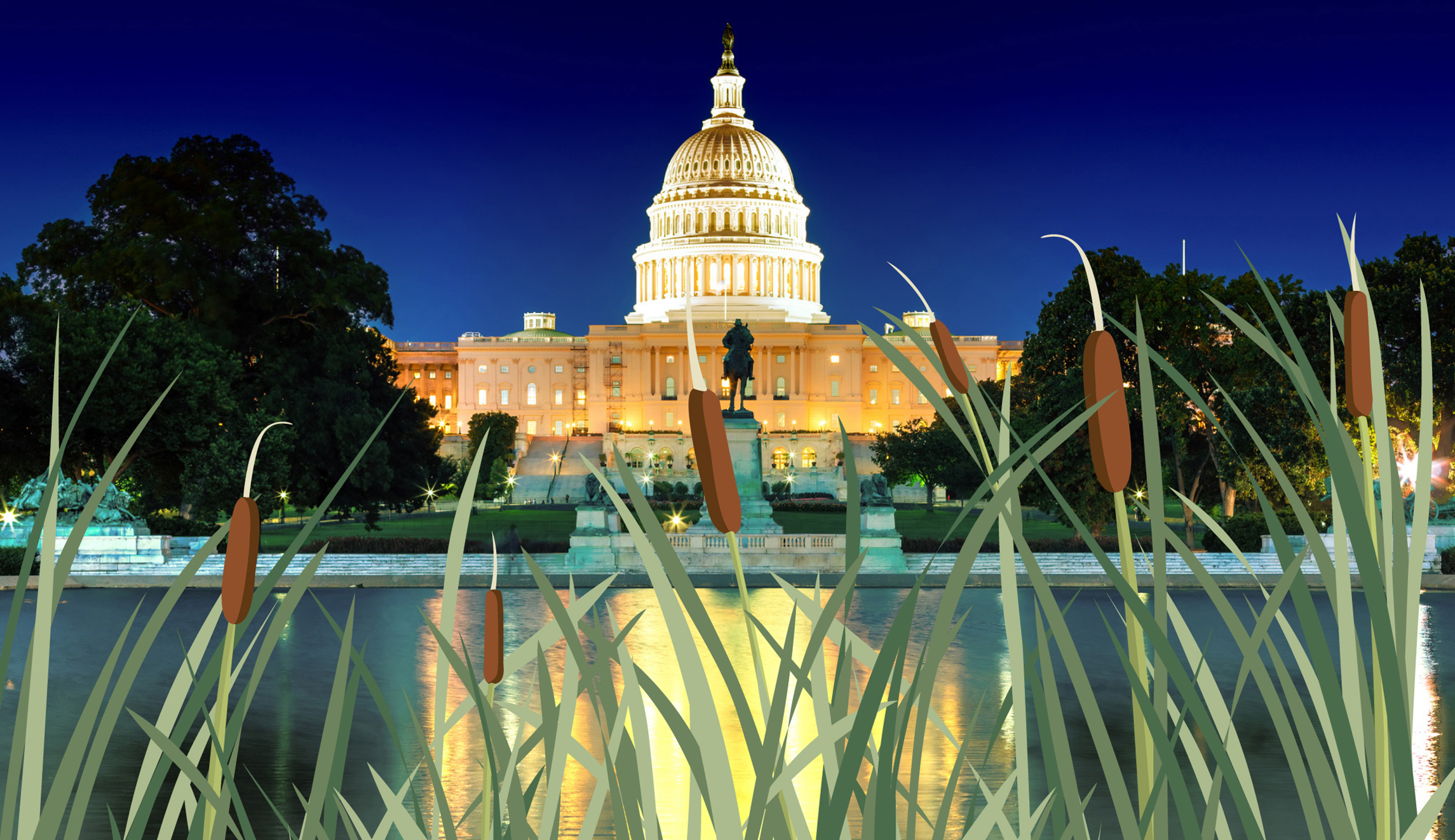 2018 the swampiest year for DC since 1889 - Washington Examiner