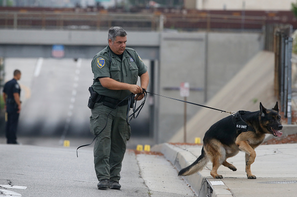 Top police official slams bill calling for ban on use of K-9s on racial grounds - Washington ...