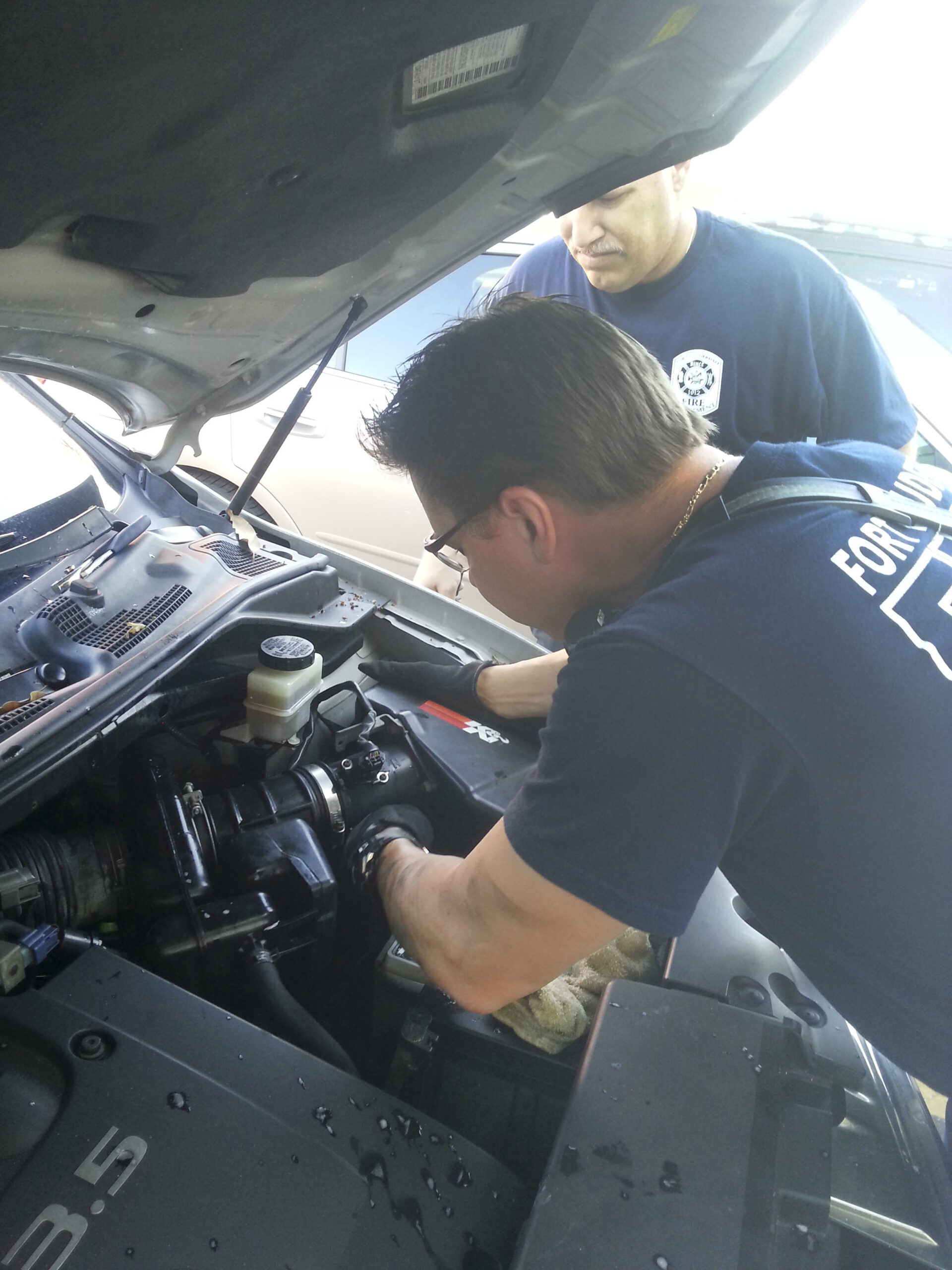 Firefighters rescue 2 kittens entangled inside car - Washington Examiner