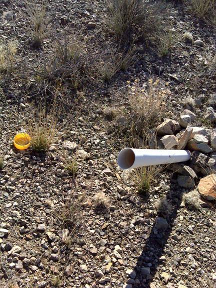 Massive annual Western bird slaughter waits federal action - Washington ...