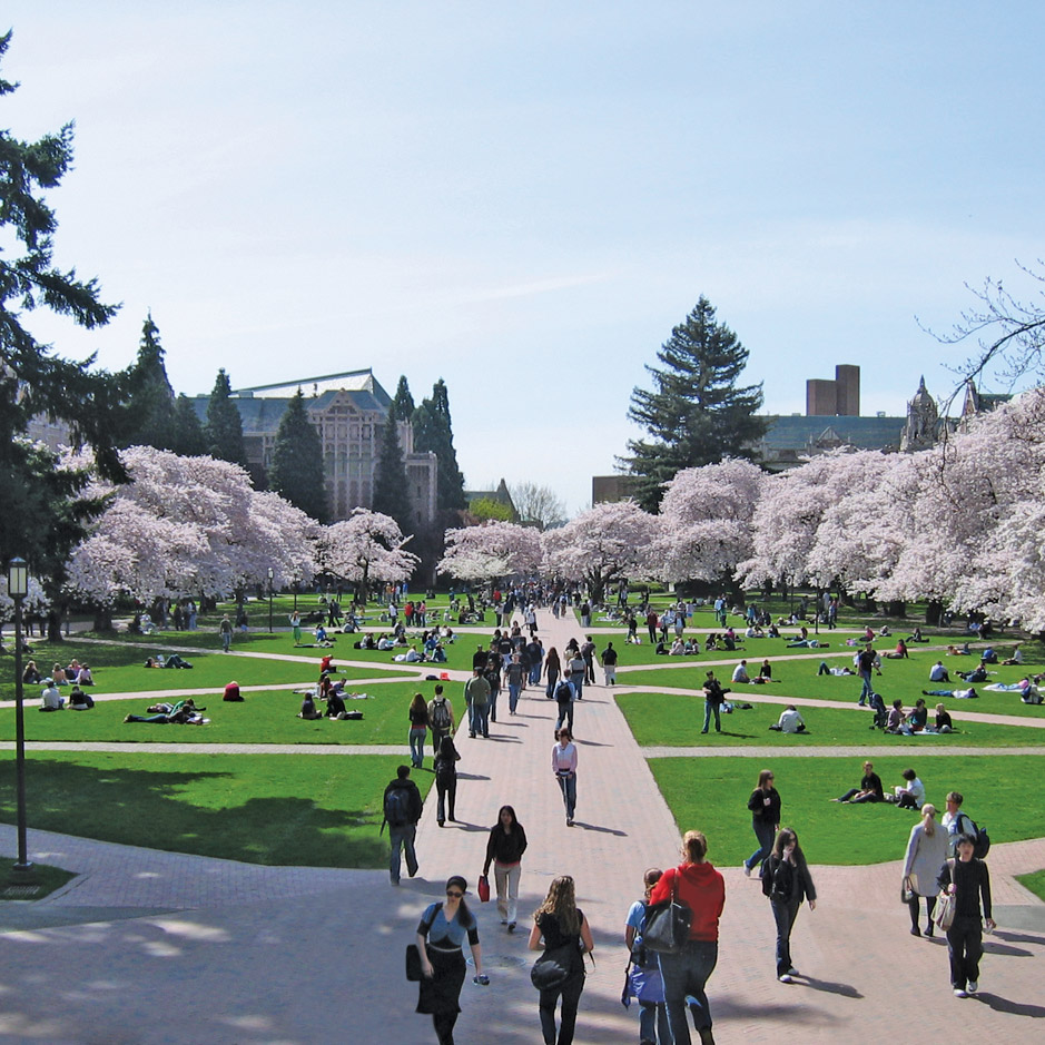 College Daze - Washington Examiner