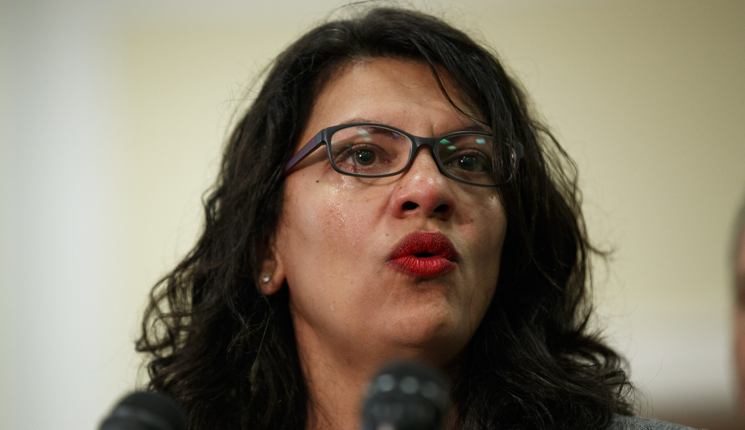WATCH: Screaming Rashida Tlaib physically removed from 2016 Trump event ...