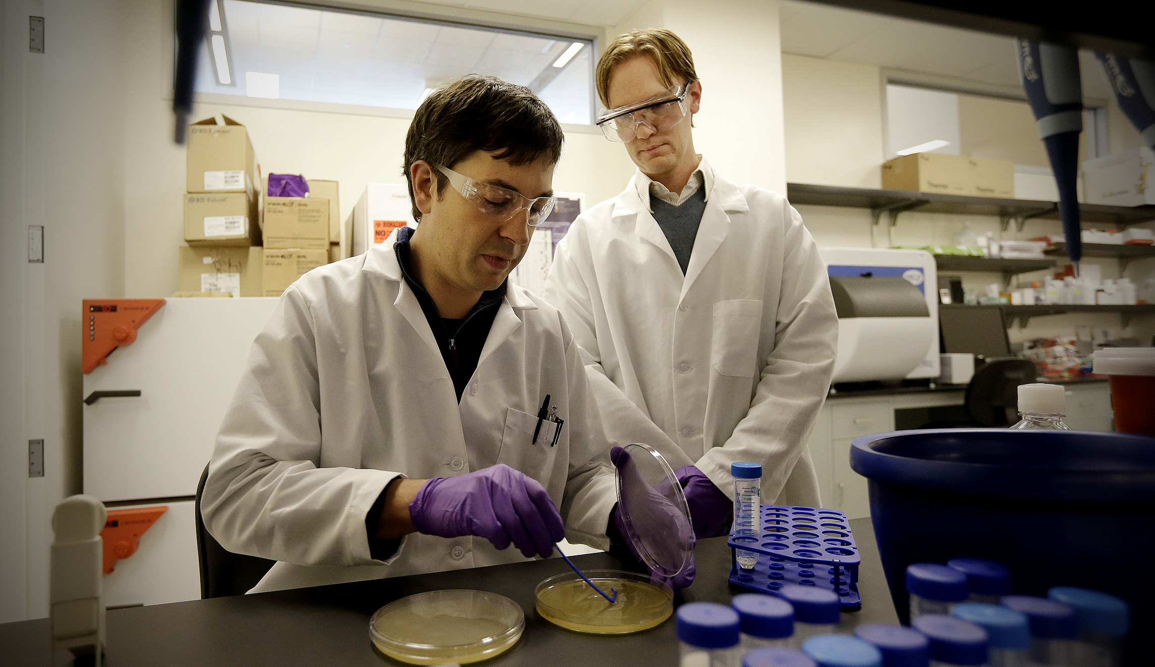 Pfizer gains new cancer drugs in $11.4B purchase of Array BioPharma ...