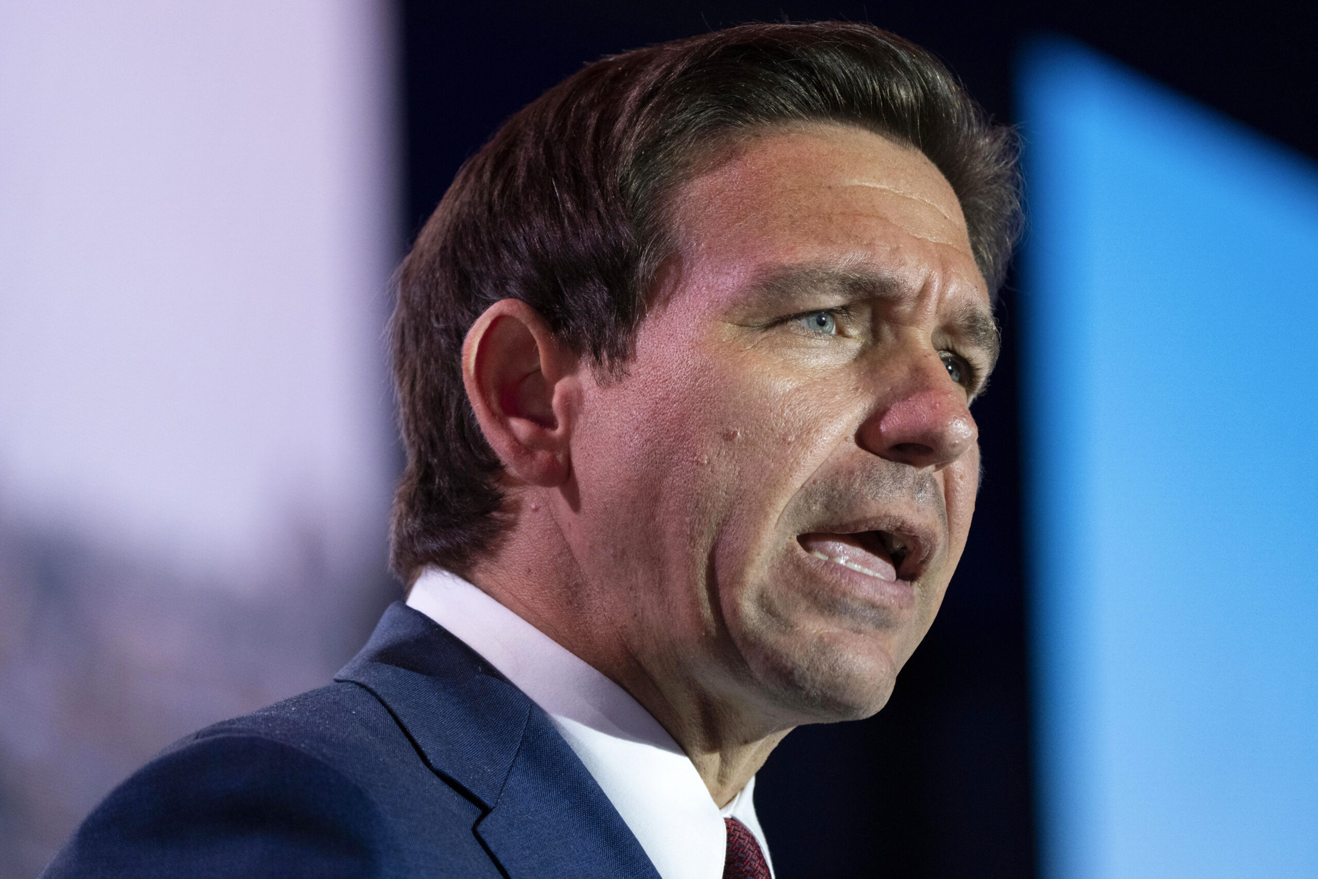 Washington Examiner’s Tiana Lowe Doescher claims DeSantis ‘has not done ...