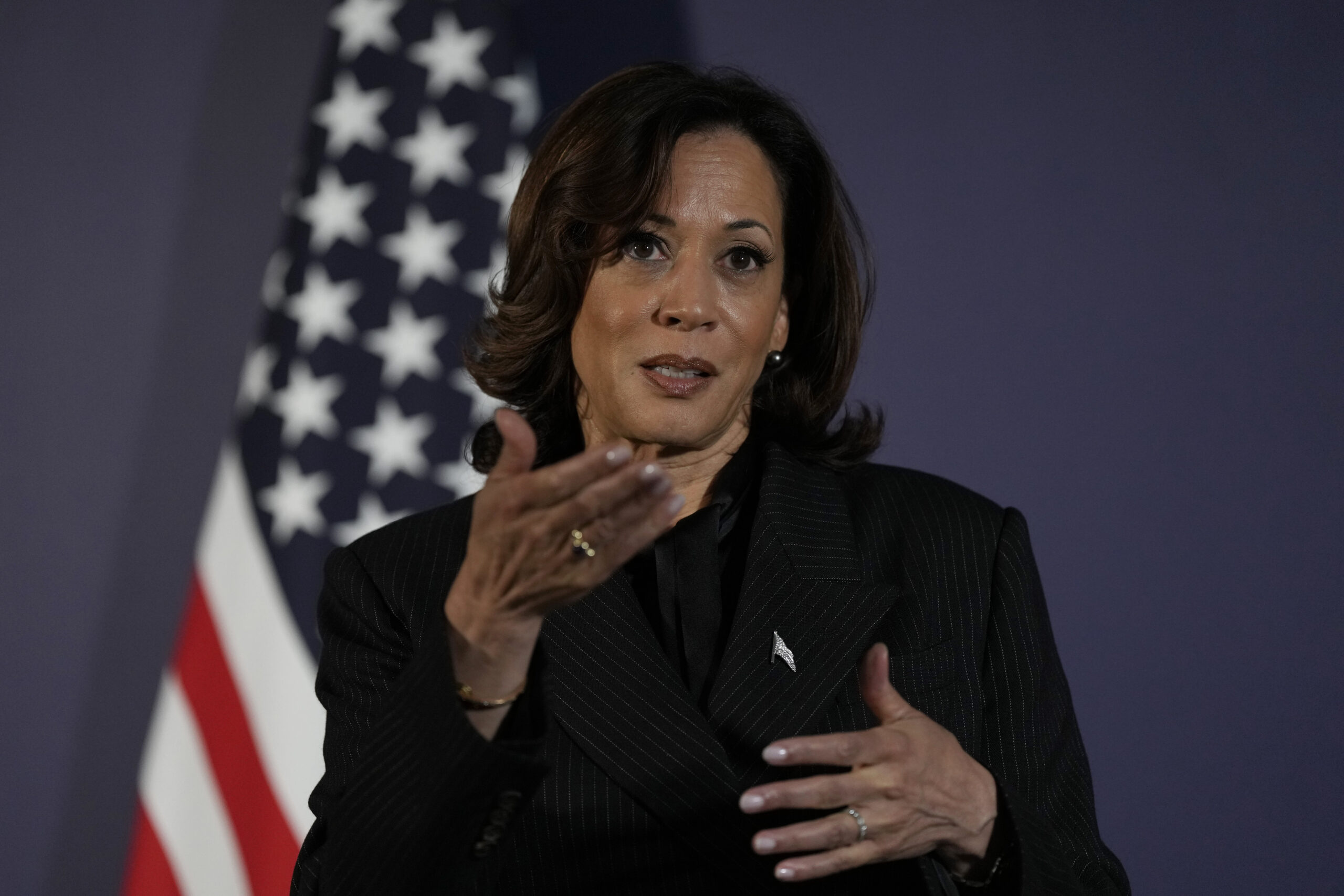 Kamala Harris jokes she’s ‘got the vocabulary’ during speech on ...