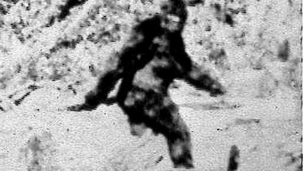 Bigfoot sighting at South Carolina park deemed ‘credible incident ...