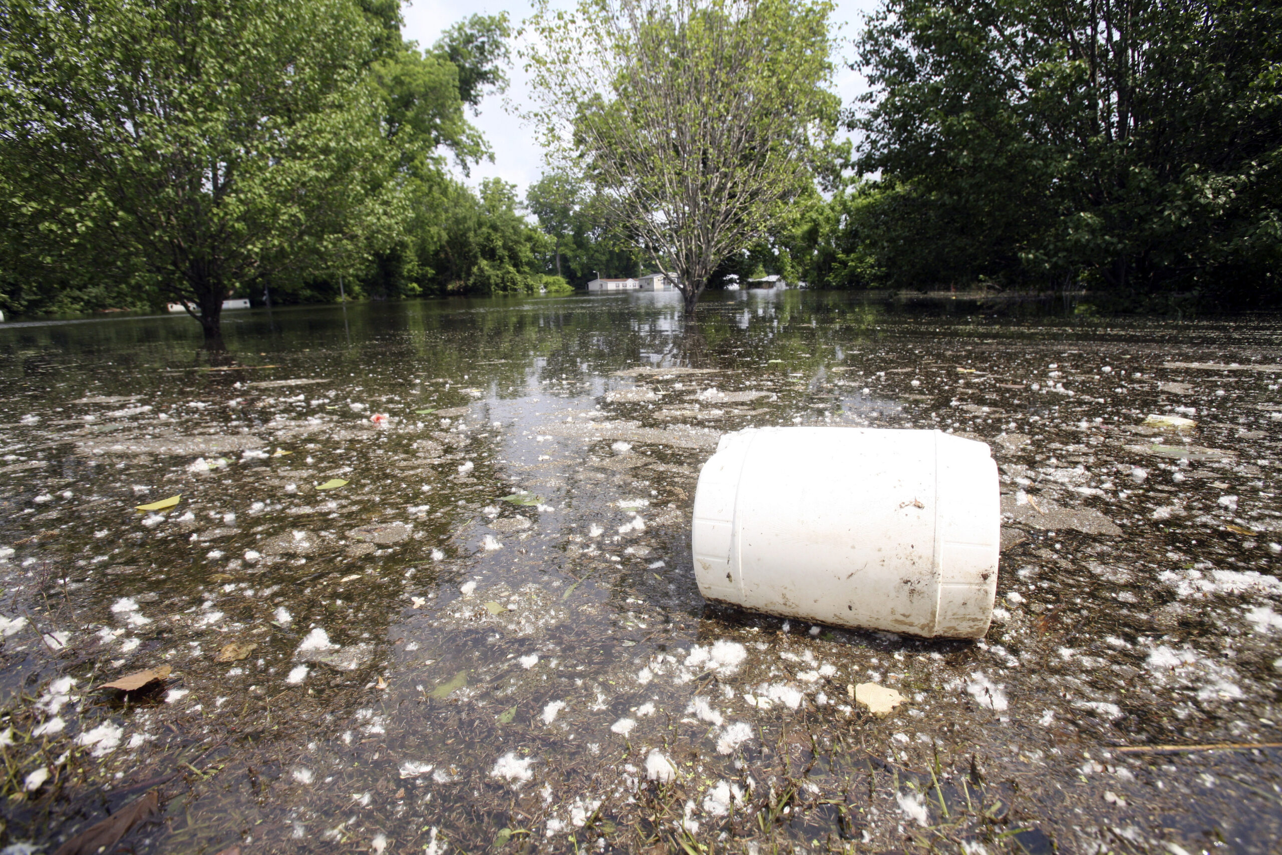 EPA says US falls short in shrinking dead zone in Gulf of Mexico ...