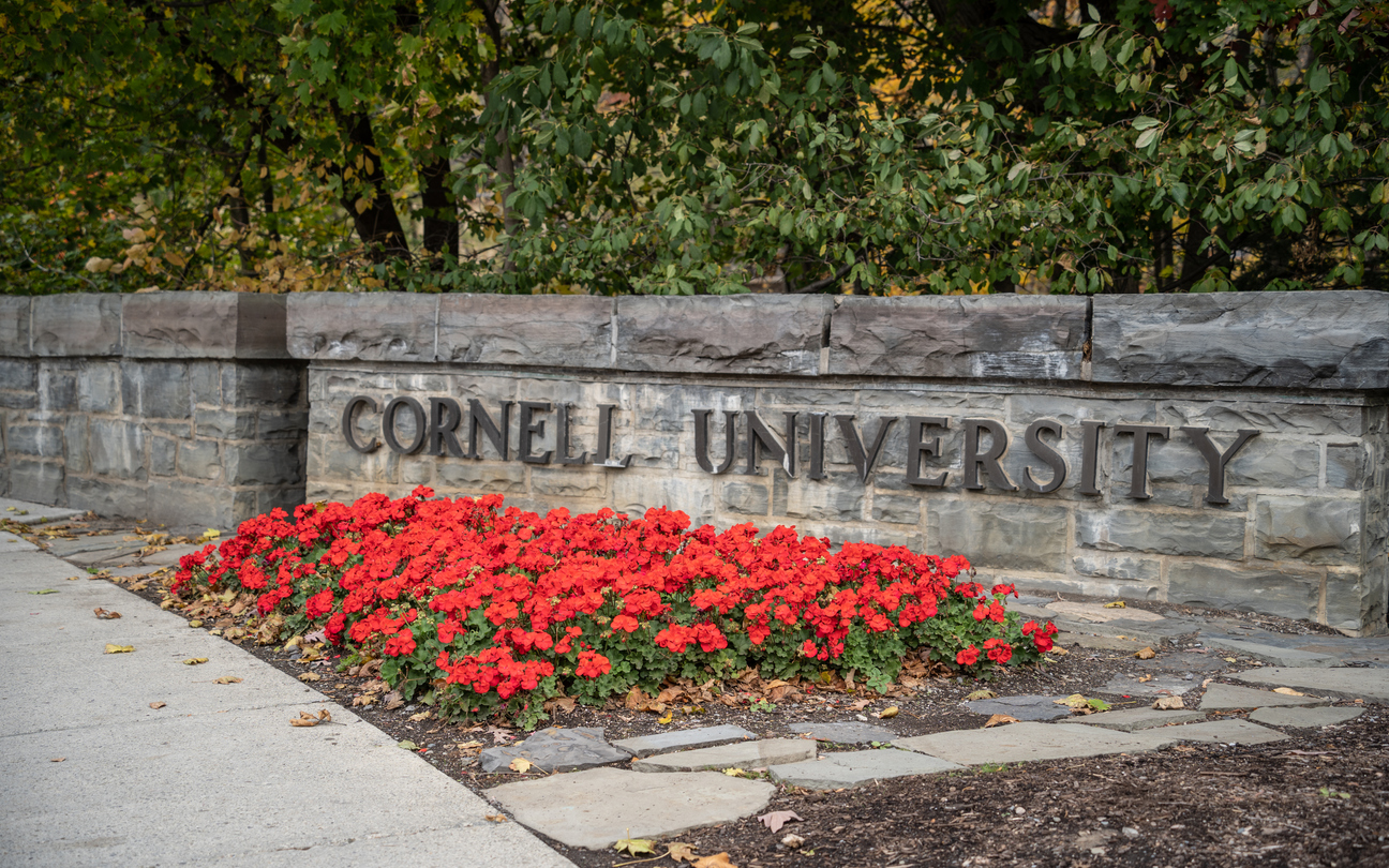 Cornell pressured to upend DEI policies on eve of ‘free speech’ year ...