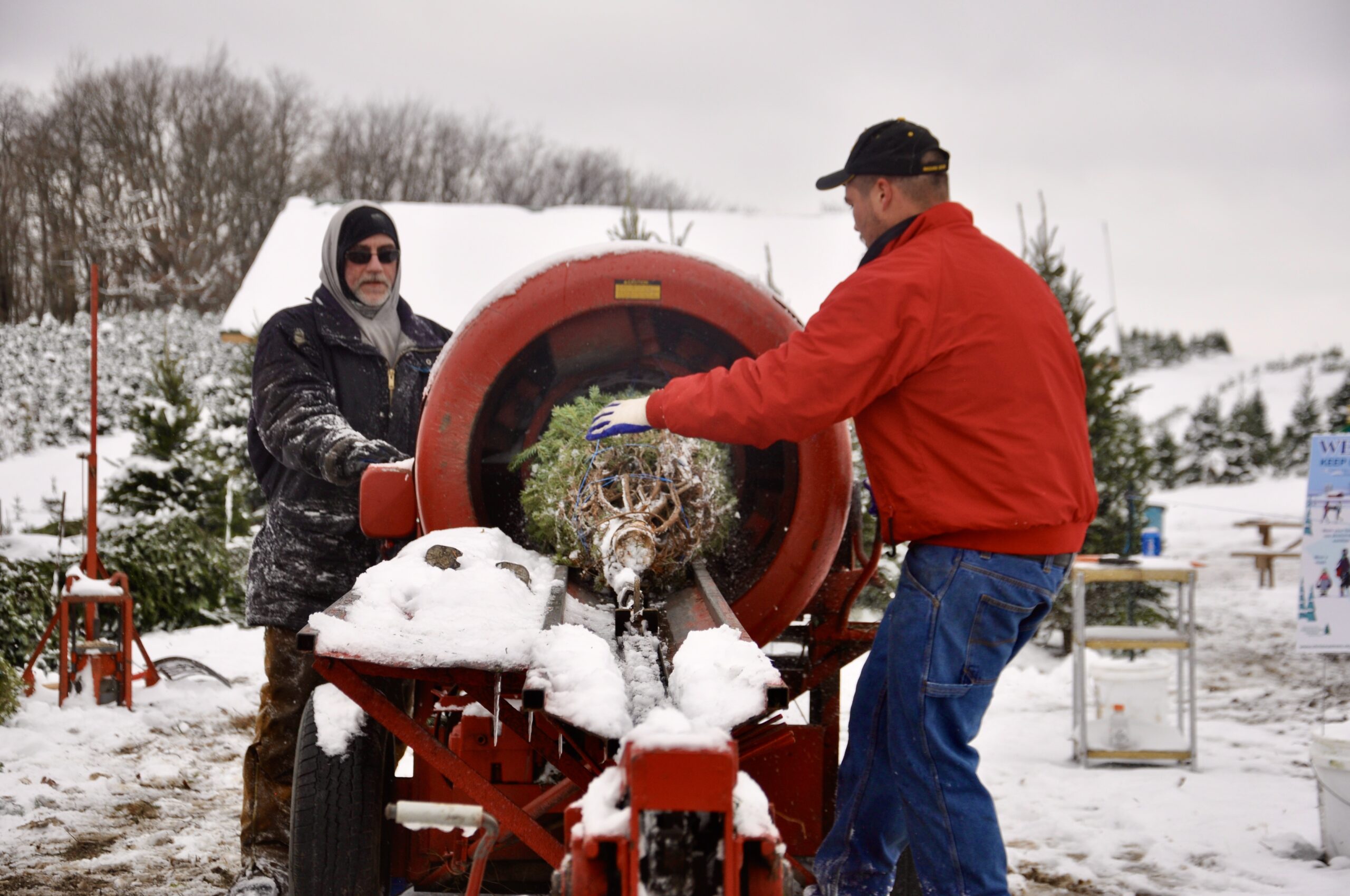 As 2020 kills traditions, Christmas stands strong - Washington Examiner