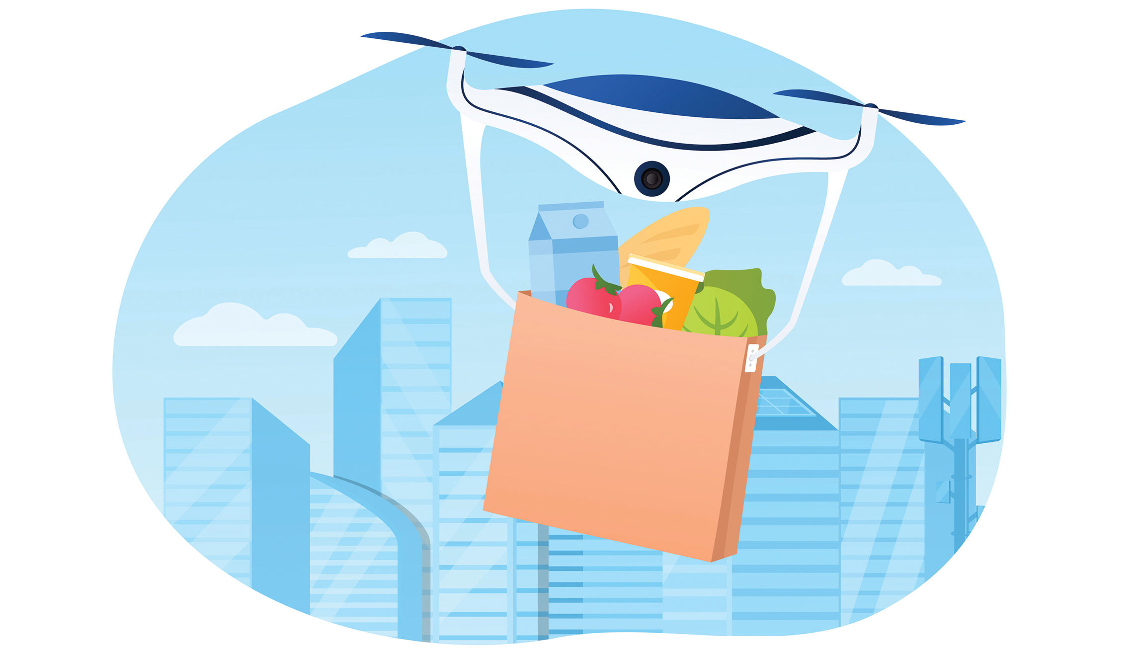 Supermarket drones - Washington Examiner