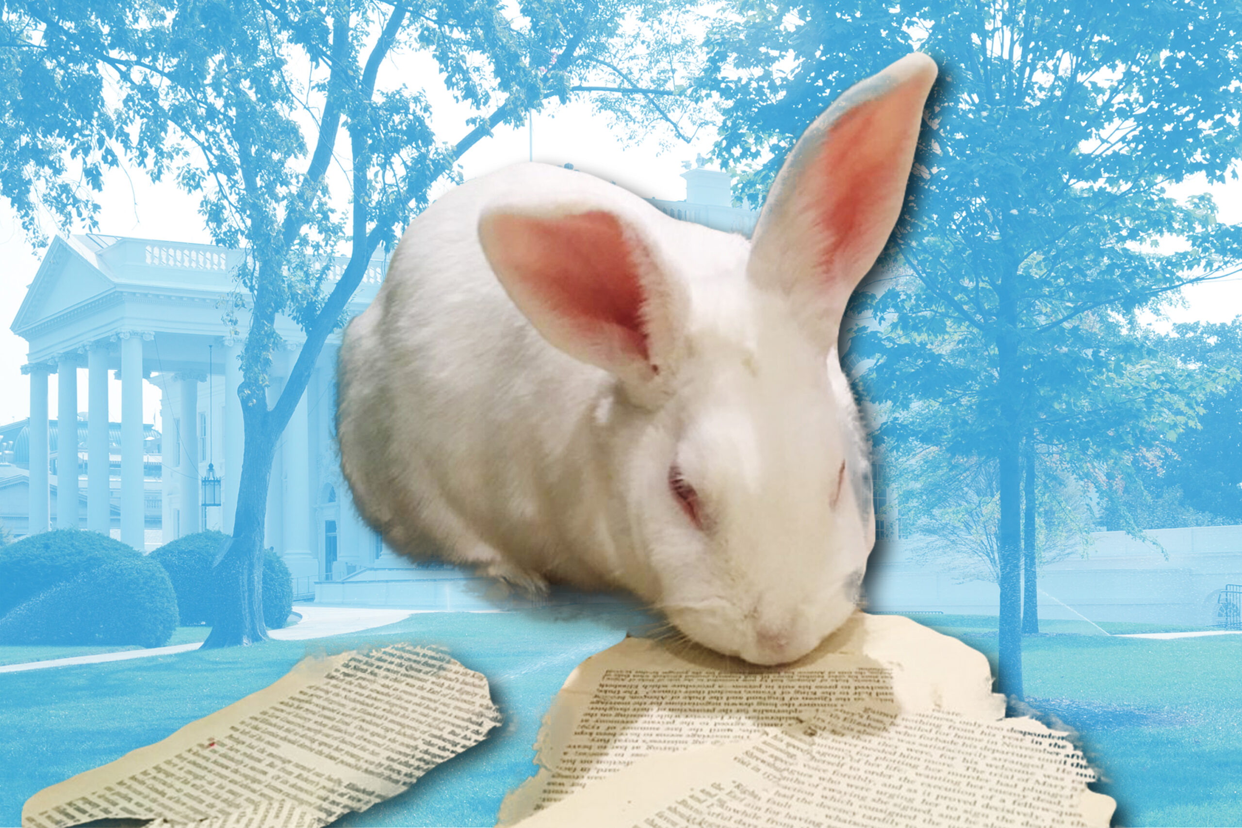 Ten Bunny Tales Better Than Either Marlon Bundo Offering - Washington ...